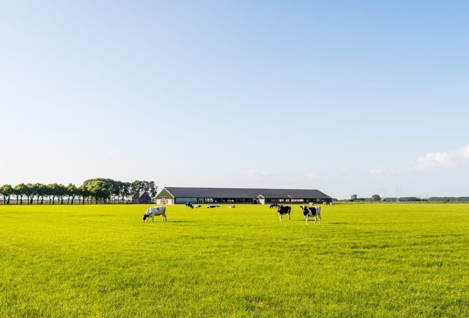 Weidegang melden - Agrarischadvies.nl