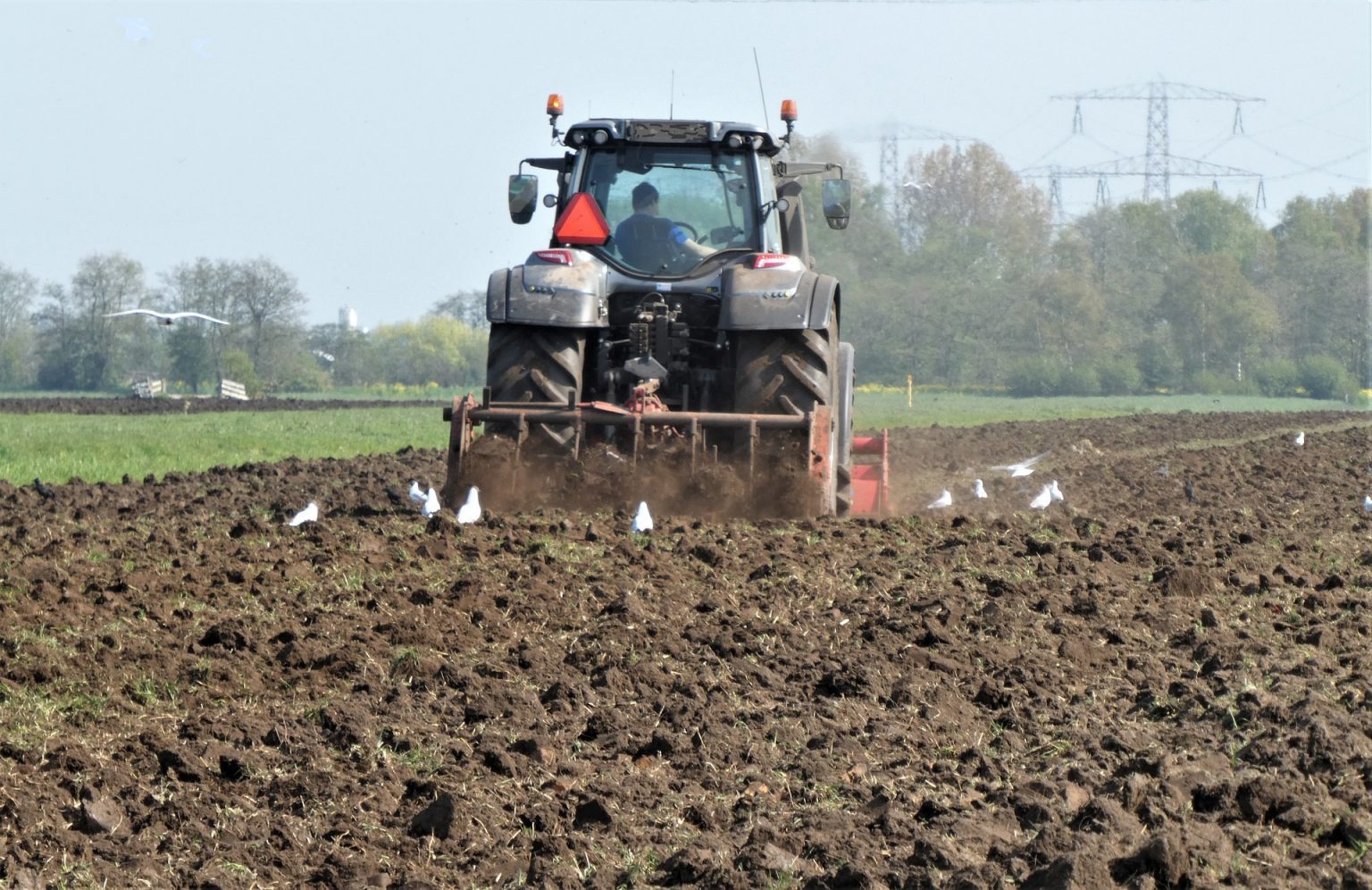 Grasland scheuren - Agrarischadvies.nl